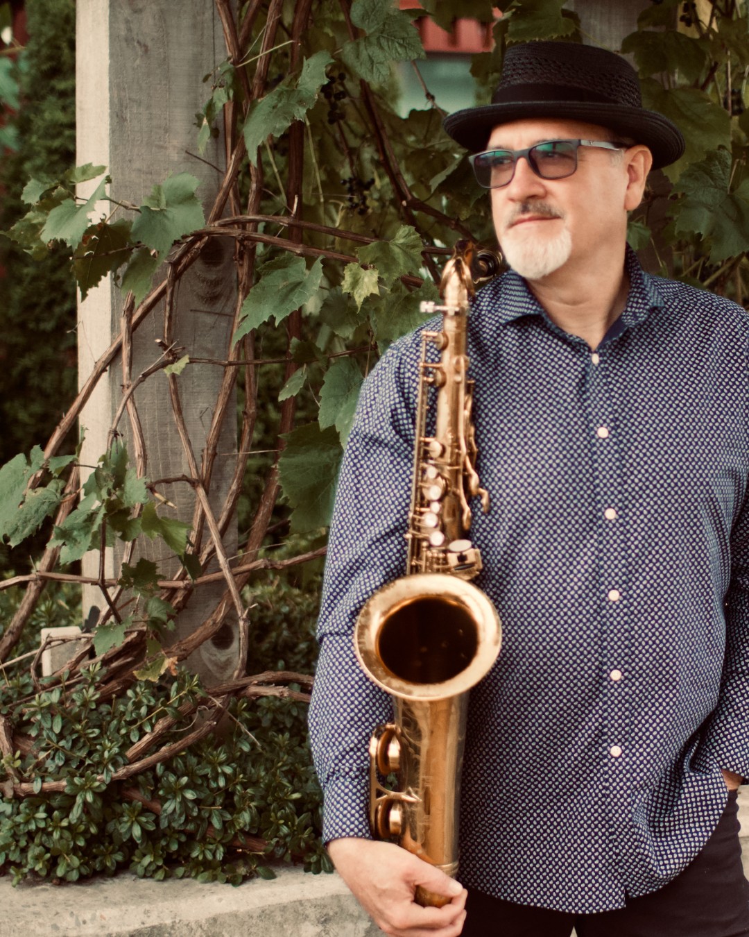 Shows - Frankie's Jazz Club